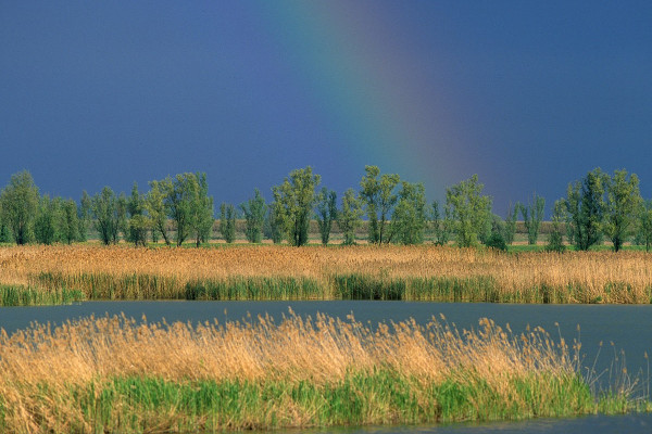 Conoscenza del paesaggio, al via due progetti di partecipazione e ...